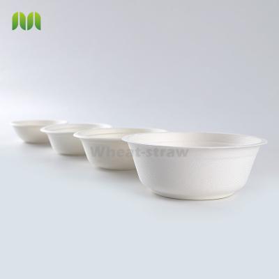 China Biodegradable sugarcane bagasse salad bowl with clear lid 9 16 18 24 32oz Disposable compostable sugar cane bowl tableware for sale