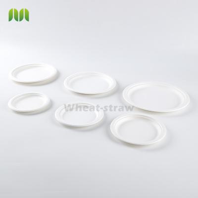 China Bagasse sugarcane paper plate dishes disposables for sale