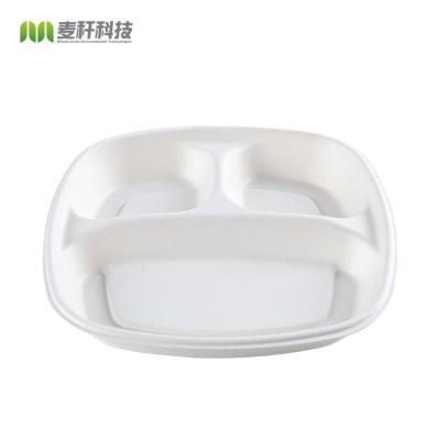 China Eco Friendly Sugarcane Bagasse Products Disposable Compostable Biodegradable Tableware Tray Plate Dish Rectangle Paper 9 Inch for sale