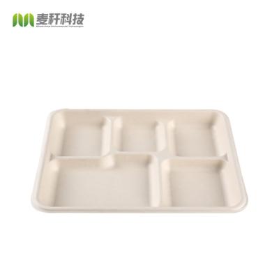 China biodegradable tableware Rectangle 5 division meal snack Tray for sale