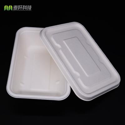 China Biodegradable Sugarcane Bagasse Disposable Takeaway Food Tray with Lid for sale
