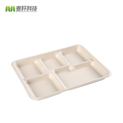 China Fiber 5 Section Compartment Tray Bagasse Natural Hot Selling Disposable Plate Dish Rectangle Sugarcan Fiber Food 50000pcs for sale