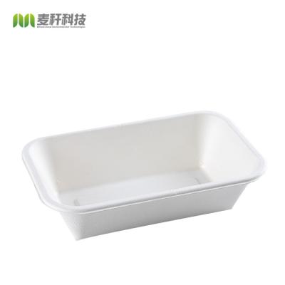 China 32oz Disposable Sugarcane Snack Sushi Serving Tray Plate Dish Bagasse Tray Disposable Compostable Rectangle Food Plant Pattern for sale