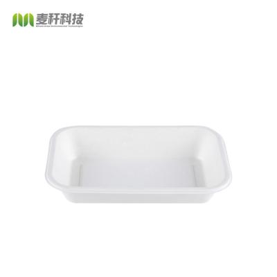China 2022 FREE PLASTIC biodegradable disposable  sugarcane bagasse Food fruit trays for sale