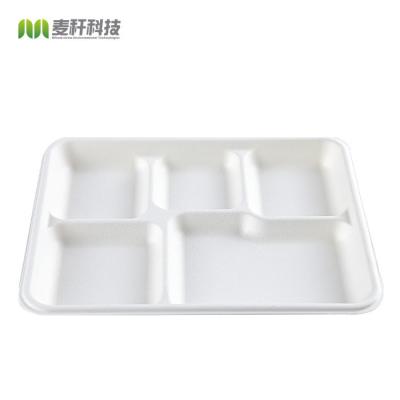 China disposable lunch tray compostable sugarcane bassage serving trays for sale
