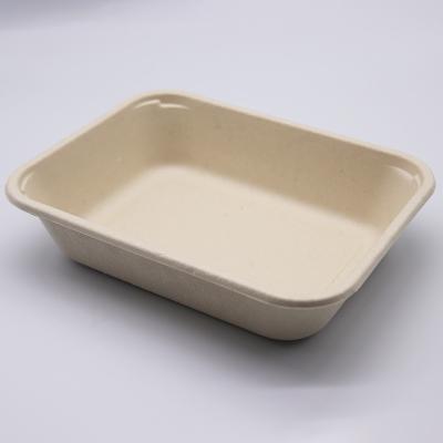 China disposable lunch tray compostable sugarcane bassage serving trays for sale