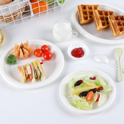 China Biodegradable 6inch sugarcane bagasse paper pulp plates for sale