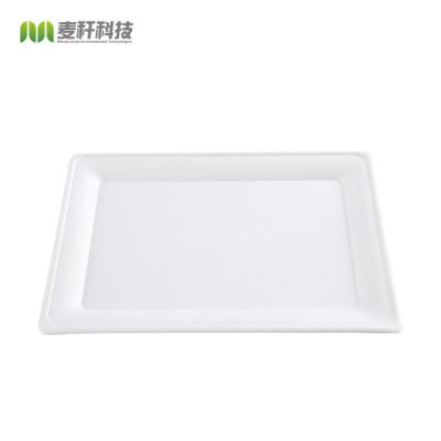 China Biodegradable  disposable sugarcane Bamboo bagasse raw materials paper pulp food party plate for sale