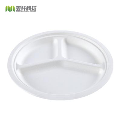 China USA Market Compostable BBQ Tableware Bagasse 3 compartment Round Plate for sale