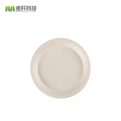 China Biodegradable Sugarcane Bagasse Bio Paper Plate Pulp Fiber Round Disposable Pizza Plate Plate Dish Food Customized Pattern for sale