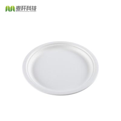 China Round Disposable Plates Natural Sugarcane Bagasse Compostable Eco Friendly Environmental paper plate for sale