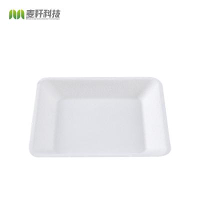 China eco friendly box takeaway biodegradable food packaging disposable plates for sale
