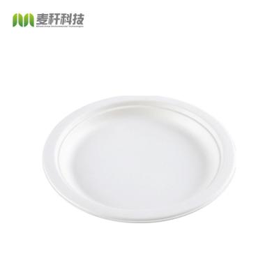 China Disposable sugarcane bagasse dishes compostable biodegradable plates for sale