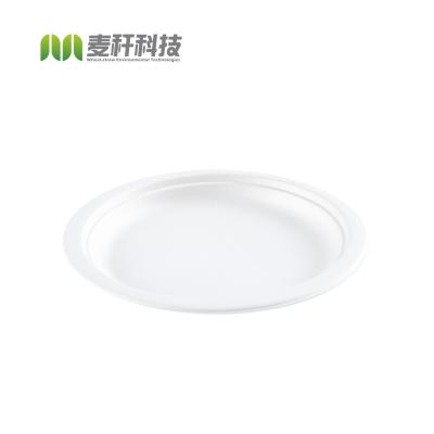 China Disposable Sugarcane Bagasse Dishes Compostable Biodegradable Plates Dinnerware Restaurant Serving Supplies Round Paper 50000pcs for sale