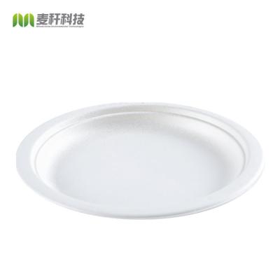 China 10inches Disposable Biodegradable Sugarcane Bagasse Paper Pulp Tableware plate for sale