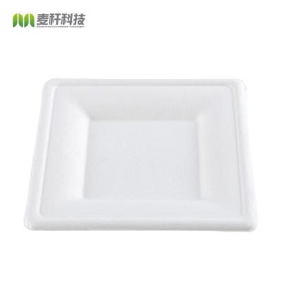 China Eco-friendly Disposable Degradable Sugarcane Bagasse Box&Clamshell Tableware(Box,Bowl,Plate,Tray,Cup) for sale