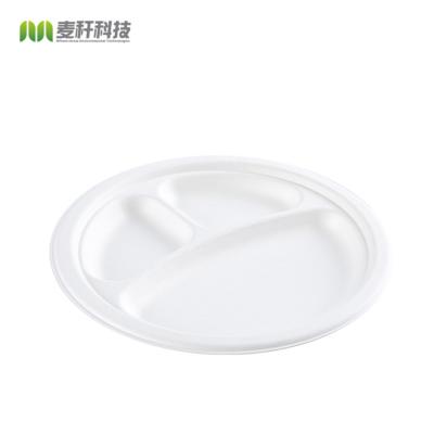 China 10