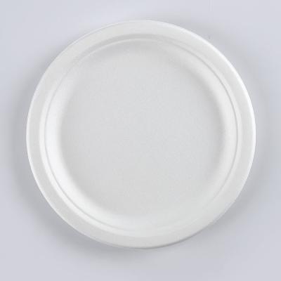China Sugarcane Bagasse Disposable Food Containers for microwave plate clamshell paper pulp tray tableware for sale