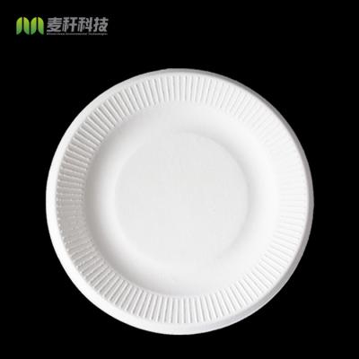 China Wholesale disposable 6''/7''/8''/9''/10''/12'' plate green bagasse pulp food containers for sale