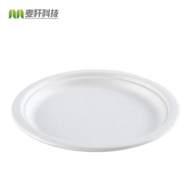 China Wholesale disposable 6 inch plate green bagasse pulp food plates for sale