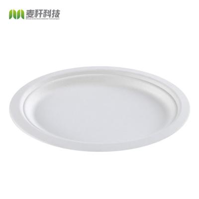 China Wholesale a biodegradable sugarcane birthday cake plate western plate food for sale