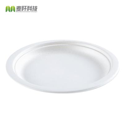 China cane syrup dish Disposable Biodegradable Plates Sugarcane Bagasse Paper Pulp Mould dinnerware Plates for sale
