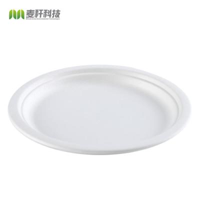 China one time usable plates made of sugarcane bagasse 9inch for sale