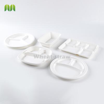 China Factory direct bagasse paper plate biodegradable sugarcane bagasse plates 6-7-8-9-10inch 2-3 compartment disposable paper plate for sale