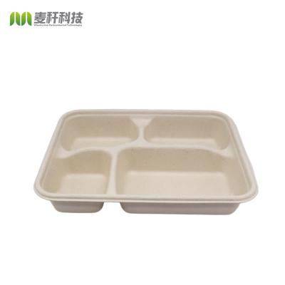 China Disposable Biodegradable Sugarcane Bagasse Takeaway Lunch Food Tray with Lid for sale