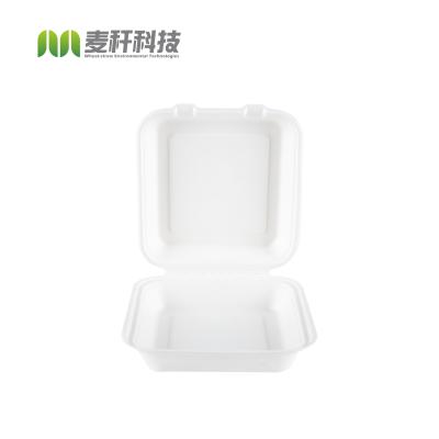 China 8