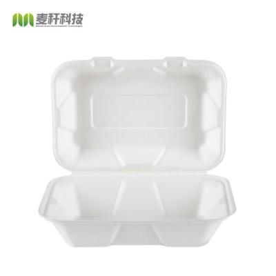China FREE PLASTIC 2021 Eco friendly tableware Pulp tableware Biodegradable food container for sale