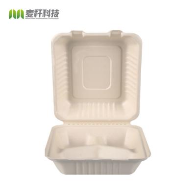 China Eco friendly tableware environmentally friendly food box biodegradable food package for sale