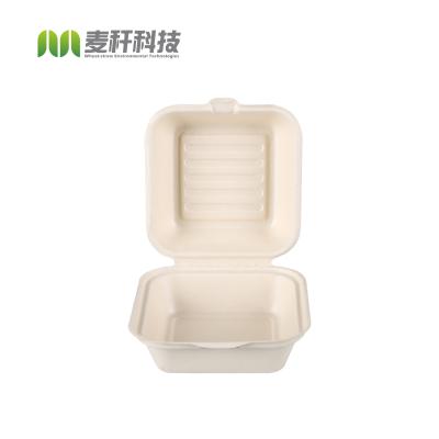 China biodegradable disposable sugarcane bagasse takeaway food container packaging clamshell lunch box for sale