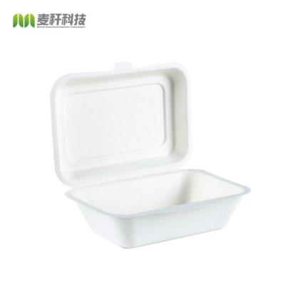 China Heavy Duty 100% Natural Sugarcane Biodegradable Compostable Bagasse, Eco-friendly paper alternative take out fast food box for sale