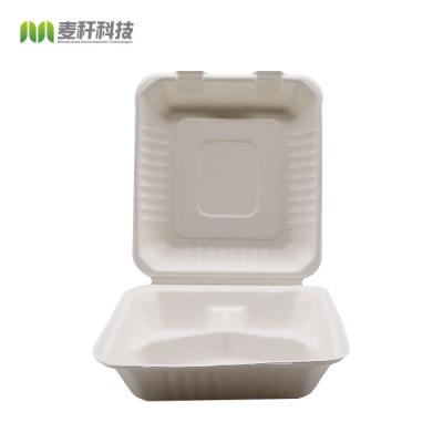 China biodegradable disposable sugarcane bagasse takeaway food container packaging 3 compartment lunch box for sale