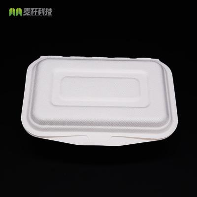 China 500-650-800-1000ml Biodegradable Disposable Sugarcane Bagasse Lunch Box with lid for sale