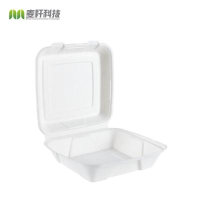 China 9 inches eco-friendly bagasse fiber natural snack dinner pack hinged food containers for sale