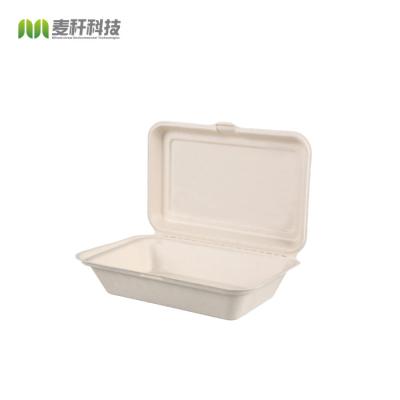 China 9 inches disposable rectangular Sugarcane/Bagasse fiber paper clamshell food packaging box for sale