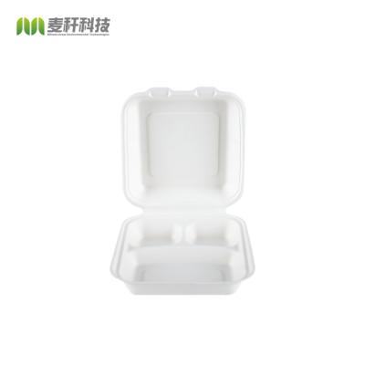 China 8 inches Biodegradable sugarcane bagasse 3 division disposable food packaging container boxes for sale