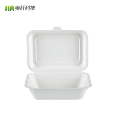 China 9*6 Box Disposable Tableware Party Box Compostable 100% Biodegradable Boxes Sugarcane Bagasse Pulp Paper Chemical Pulp Recycled for sale