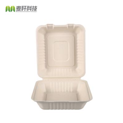 China 8inch Clamshell Biodegradable Packaging Bagasse Food Container Disposable biodegradable eco friendly tableware for sale