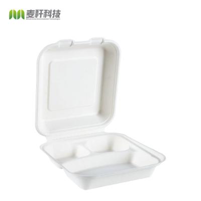 China 8x8 3 compartment bagasse pulp hinged delivery container box for sale