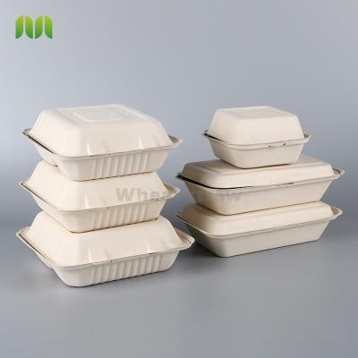 China Clamshell Takeaway Food Box Biodegradable Paper Pulp Lunch Container Sugarcane Bagasse Food container Disposable Tableware for sale