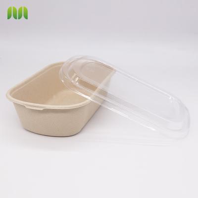 China Biodegradable Food Container eco-friendly   Oval Salad Box and PET lid for sale