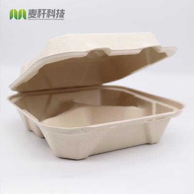 China Eco-friendly Custom 3 Compartment Bagasse Disposable Bento Lunch Box for sale