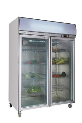 China 1000L Commercial Upright Refrigerators , Clear Two Door Upright Freezer for sale