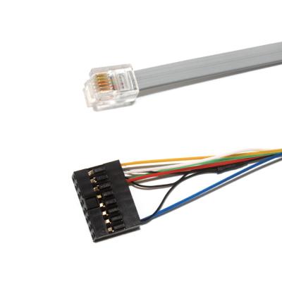 中国 Molex 90142のシリーズRJ12コネクターへの注文ワイヤー馬具のC格子III 販売のため