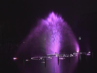 Cina Hotel Musica Acqua Danza Fontana Acciaio inossidabile Controllo del segnale musicale in vendita