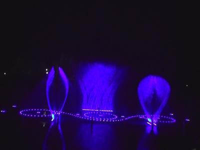 Cina Hotel Musica Acqua Danza Fontana Acciaio inossidabile Controllo del segnale musicale in vendita