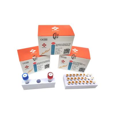 Cina Amplificazione canina di Kit Nucleic Acid della prova del cane di PCR di Taqman Ehrlichia Canis Test in vendita
